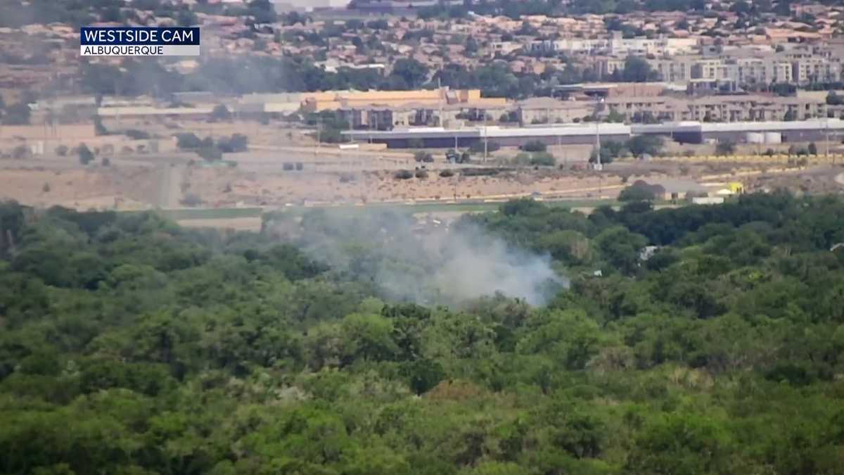 Fire in bosque near the Rio Grande
