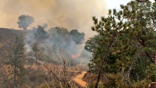 Soberanes Fire victim fund still growing