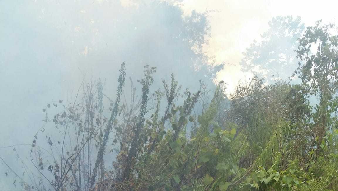 Fire flares up after cigarette discarded in Washington Parish ...