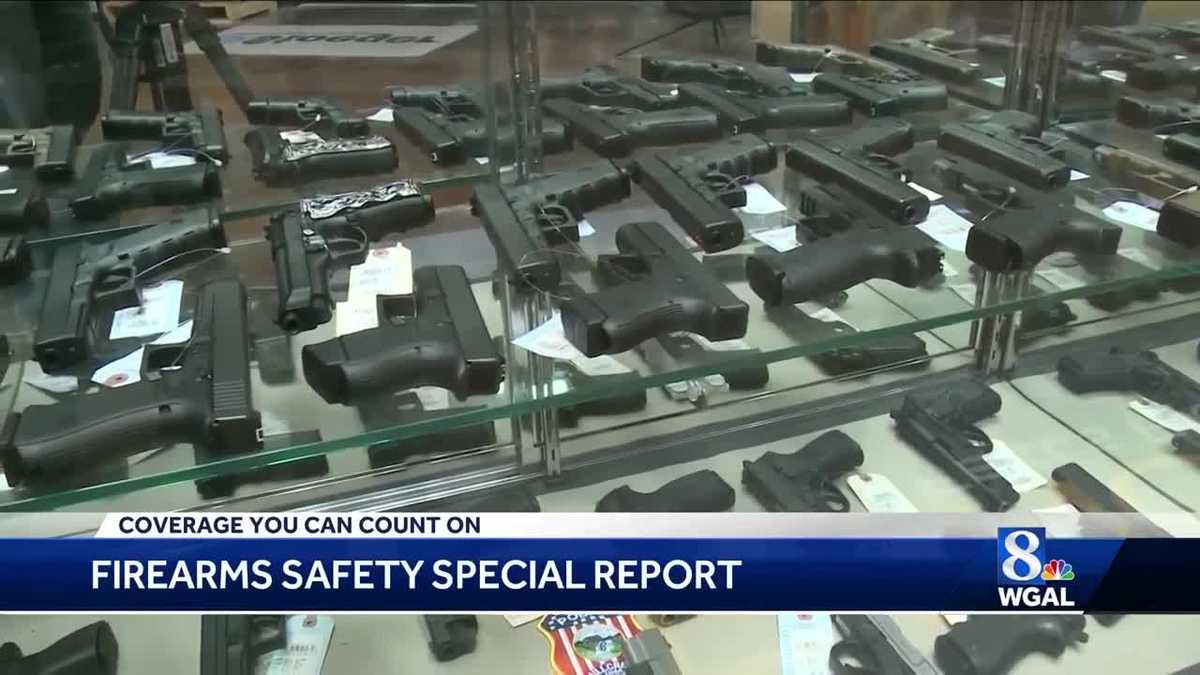 Auditor general issues recommendations to cut down on gun deaths, injuries
