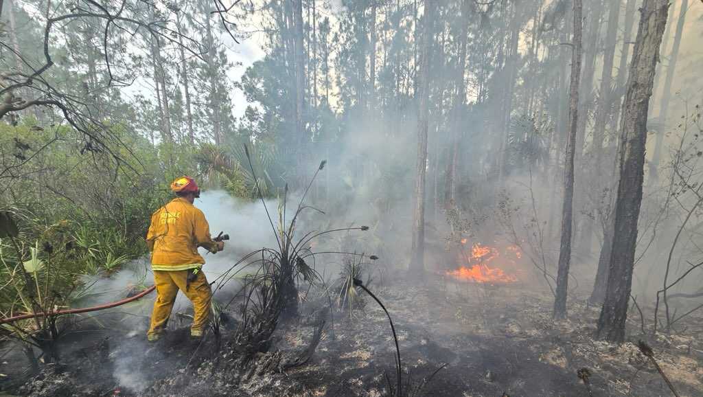 Large brush fire in Geneva