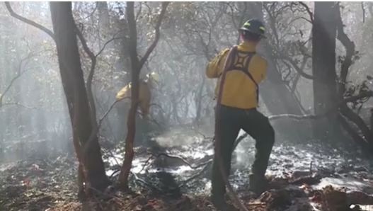 Henderson County firefighters hope for rain