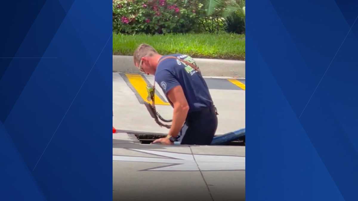 Duckling saved from grate by Naples firefighter