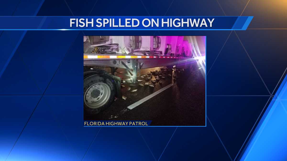 Fish spills onto I-4 in Orlando after crash