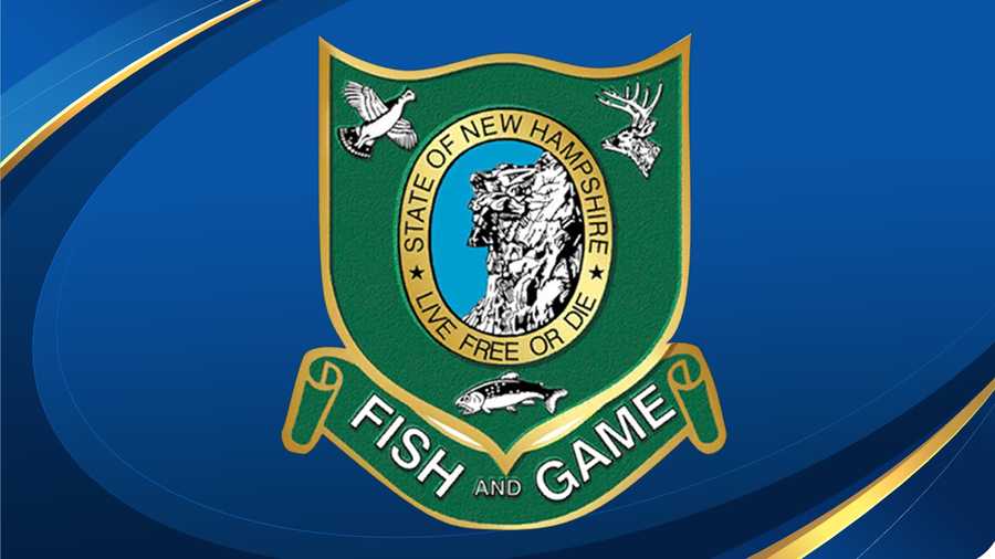 Hiker rescued after hurting ankle, Fish and Game says