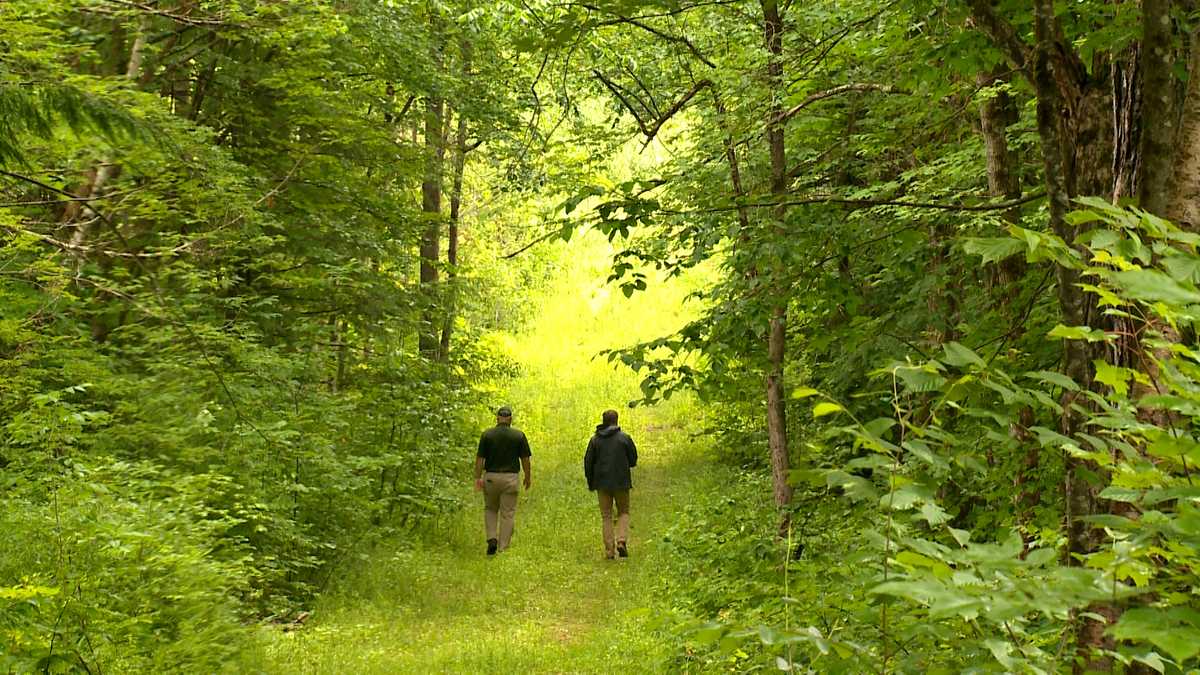 NH Fish and Game, managing Wildlife areas for all of us