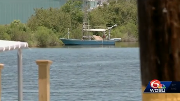 Louisiana: Conditions after Ida killed 280M fish inland