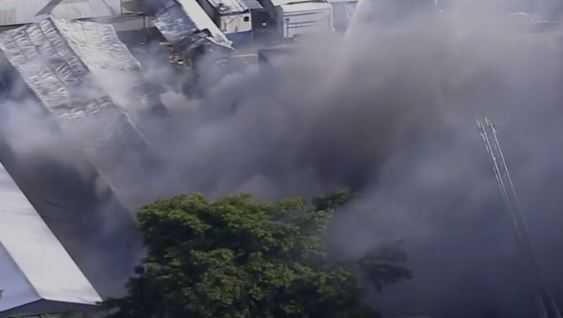 Florida flea market fire severely injures man, kills animals