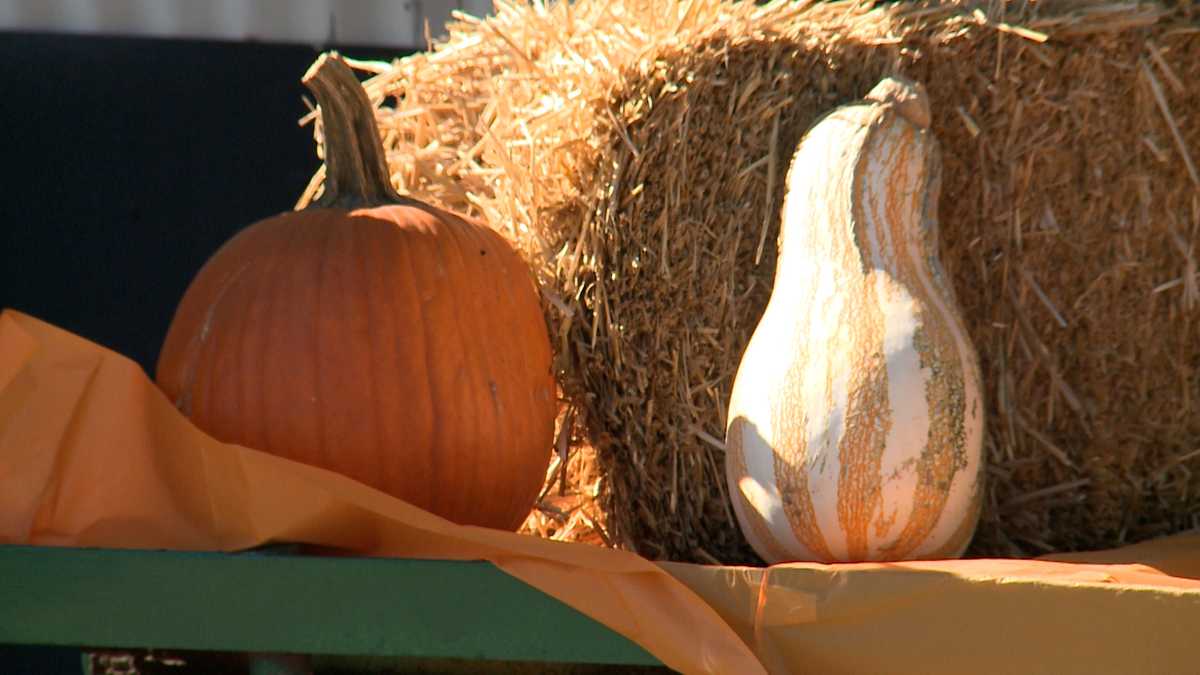 Flea market in Shively hosts fall festival for less fortunate families