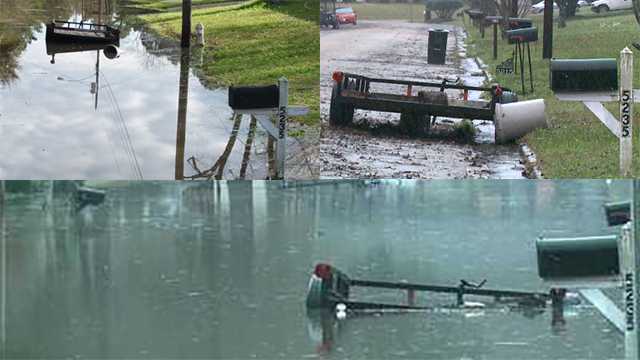 Flood victims return home after evacuation order lifted