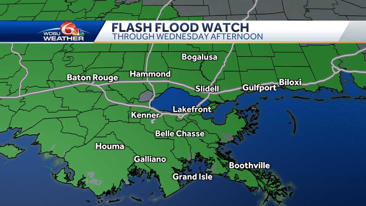 Flash Flood Watch through early Wednesday afternoon, isolated severe risk