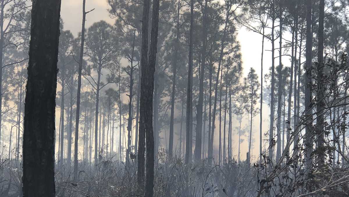 Florida crews warn of smoke, as they assess brush fire