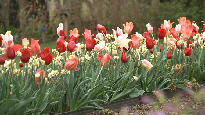 Yew Dell Botanical Gardens back open for 2024 season