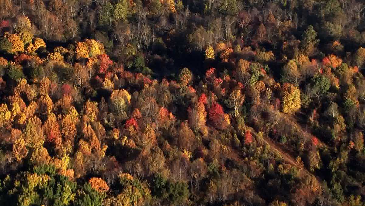 Pa. fall foliage: Some parts of Pennsylvania peaking in color