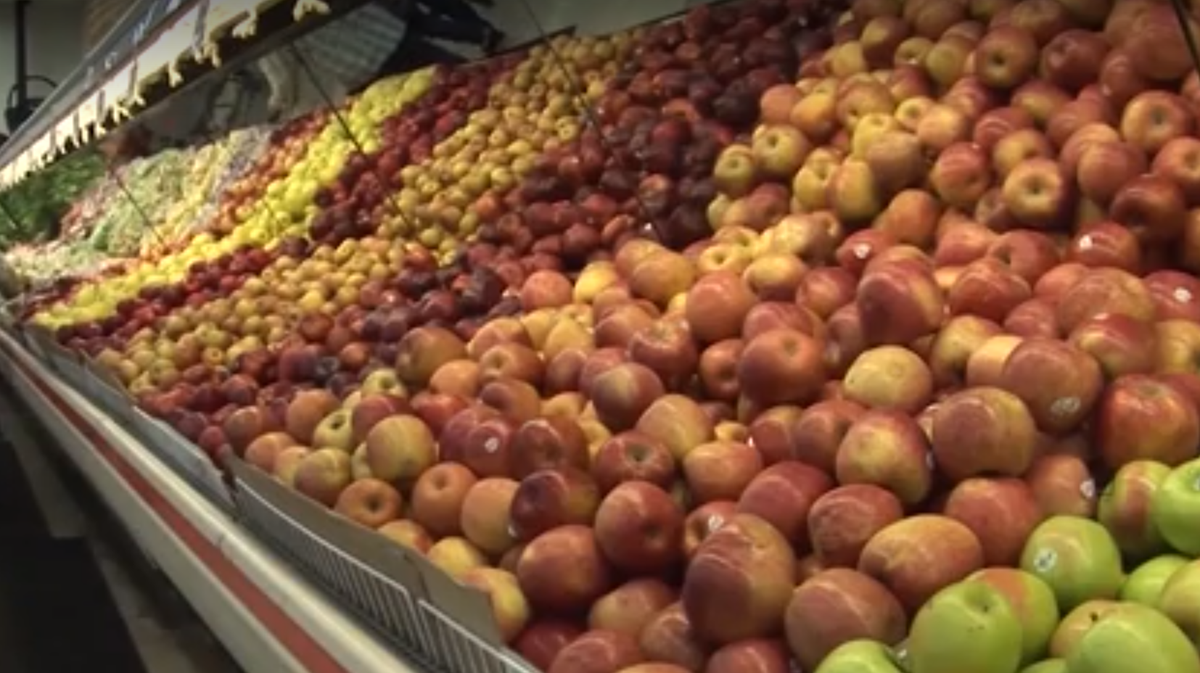 Second Helpings celebrate major milestone, rescuing its 50 millionth ...