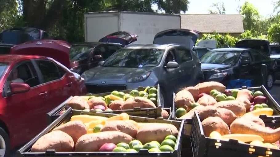 Food distribution: Meals provided to Seminole County families