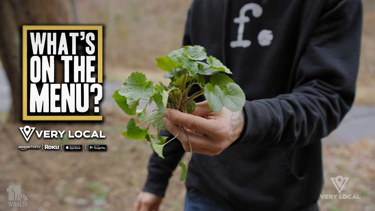 'Foraged' bases its menu on what's growing in the backyard