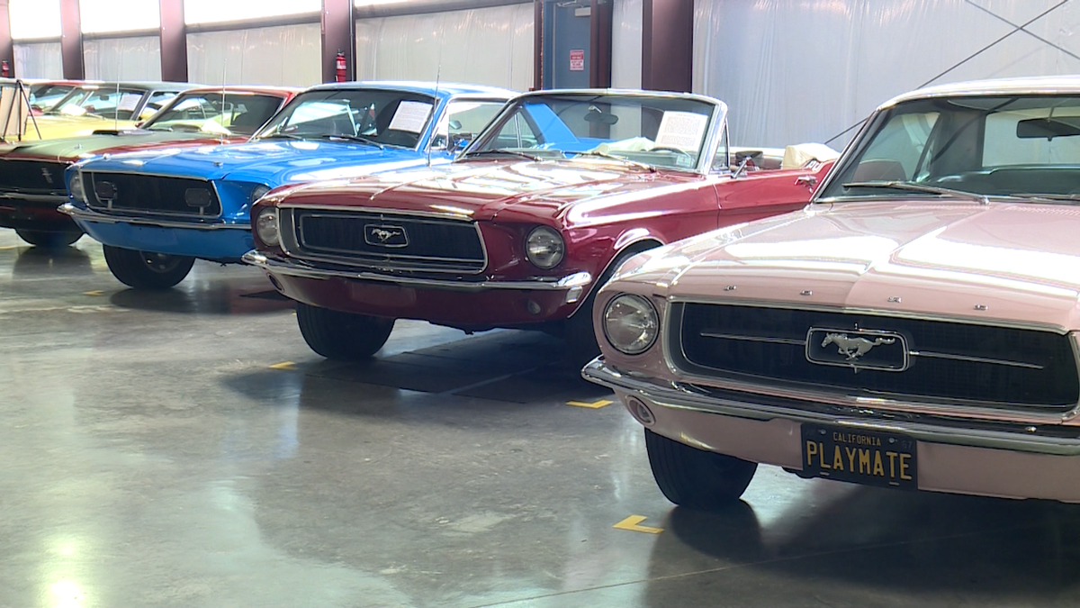 Odenville Ford Mustang museum features rare muscle cars