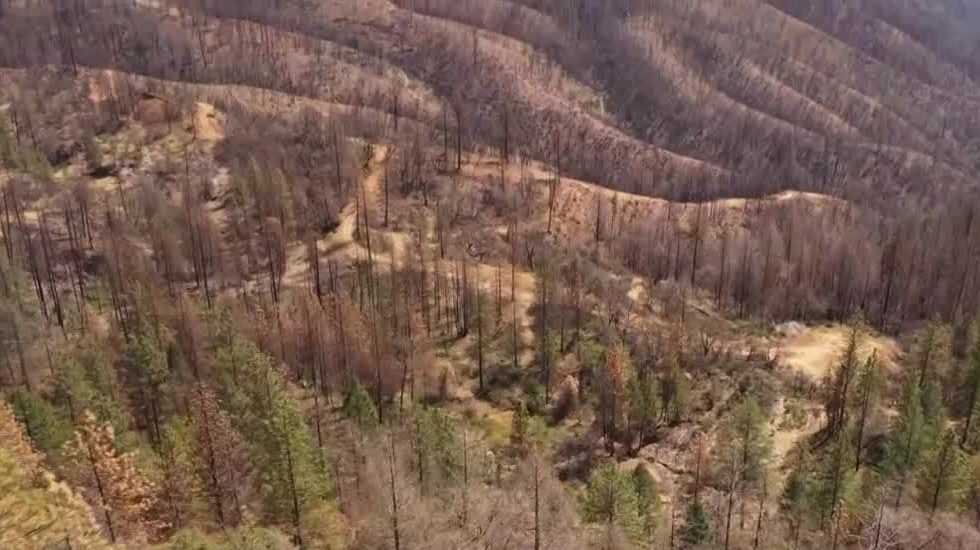 Foresthill community reflects 1 year after Mosquito Fire