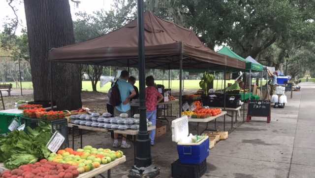 Savannah's Forsyth Farmers' Market to be moved temporarily to Tiedeman Park