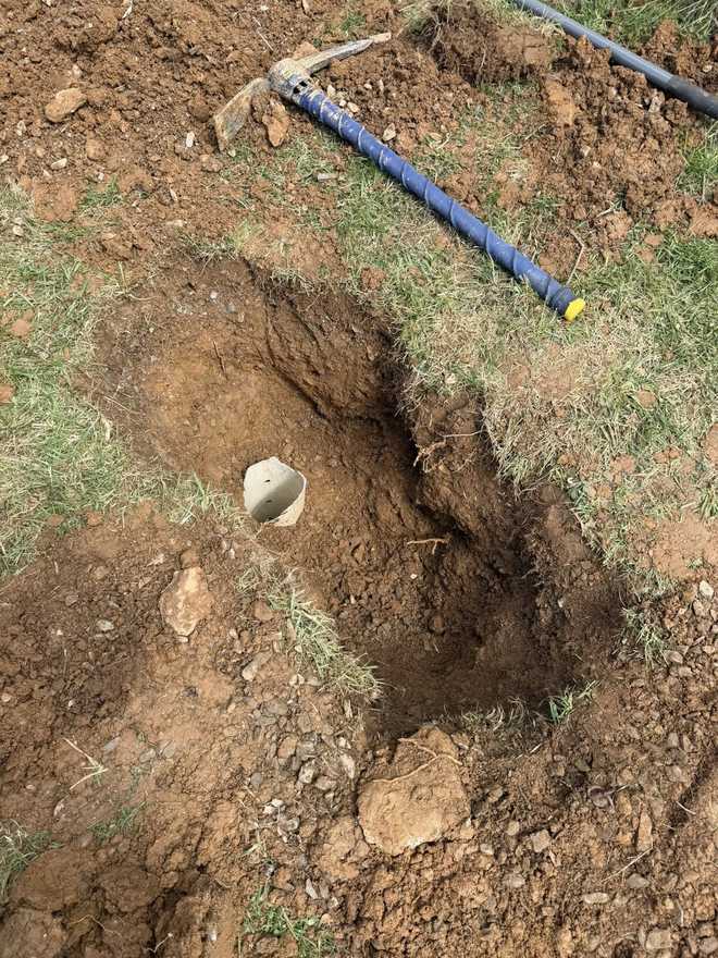 Pa. firefighters rescue baby foxes stuck in drainage pipe