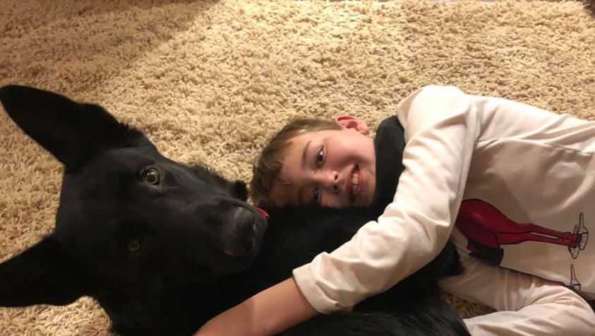 Former trucker drives cross-country to bring dog to boy with cancer