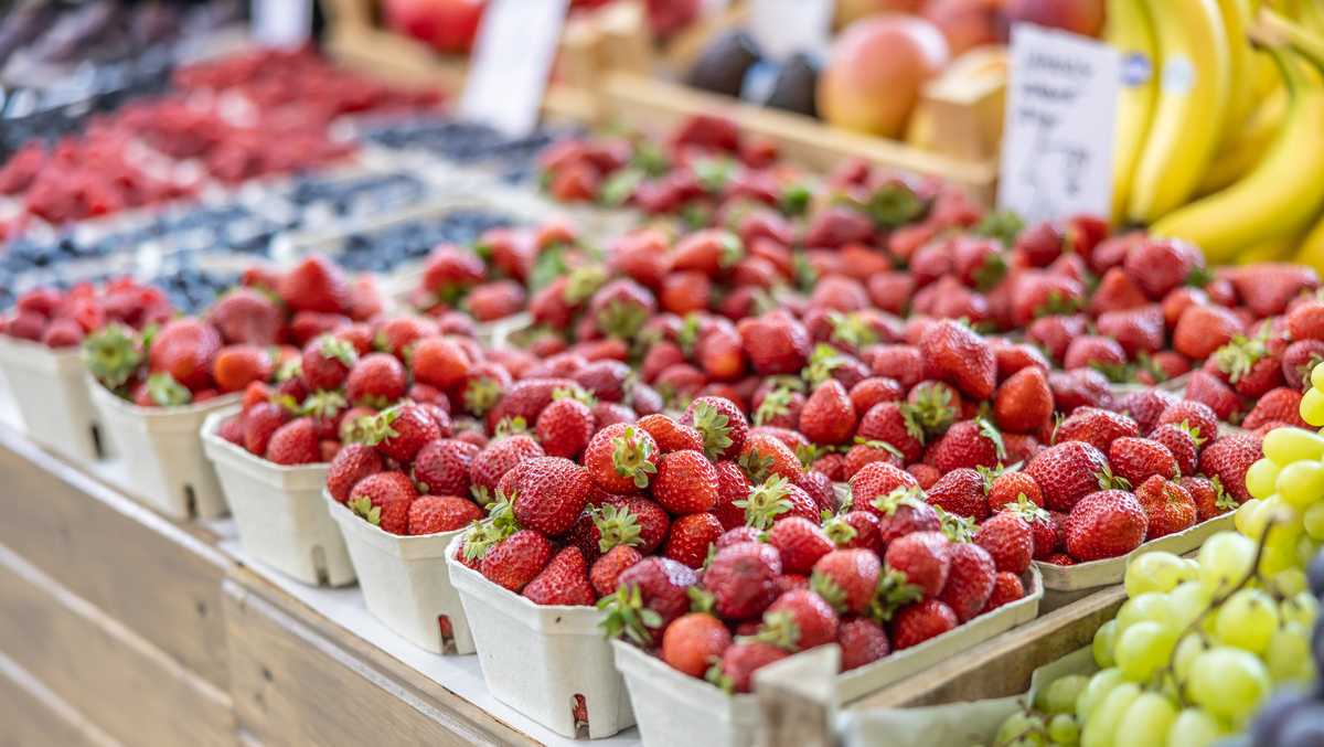 Live Oak Farmers' Market looking for a new location