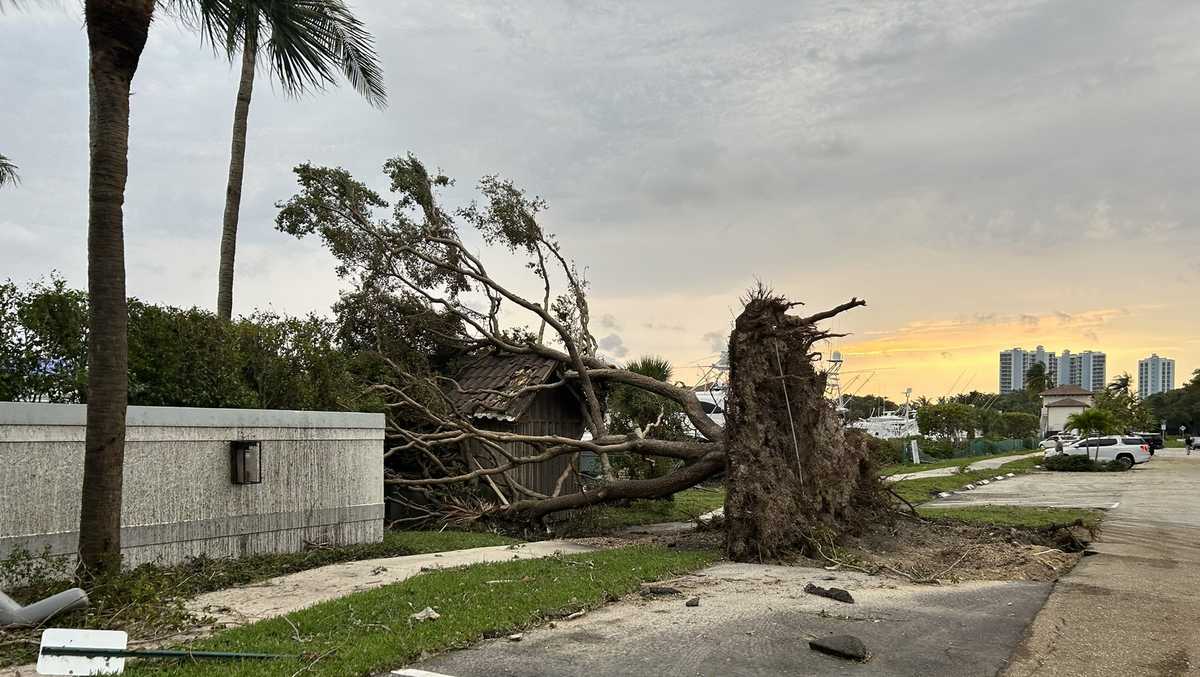 Extensive EF2 tornado damage at Florida marina following severe weather
