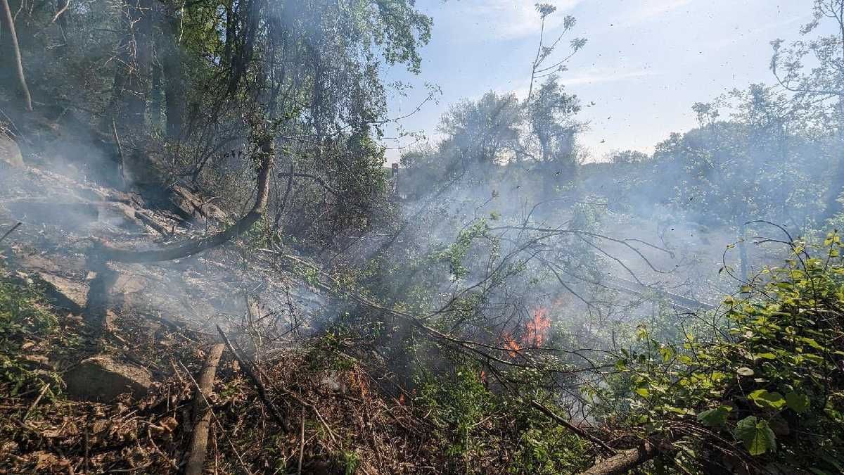 Firefighters battle brush fire in Havre de Grace