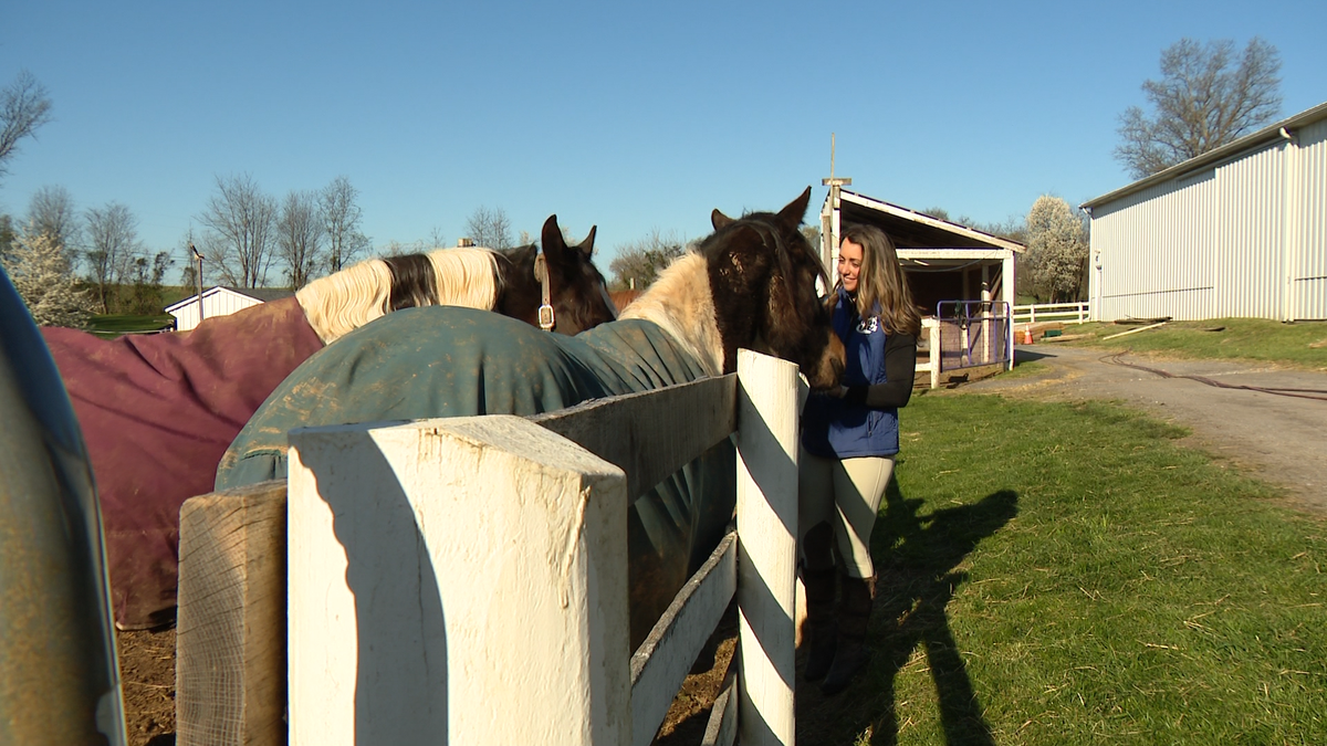 Full Moon Farm holds festival to showcase 'eventing'