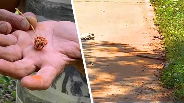 Strange orange dust showing up in Cincinnati neighborhoods