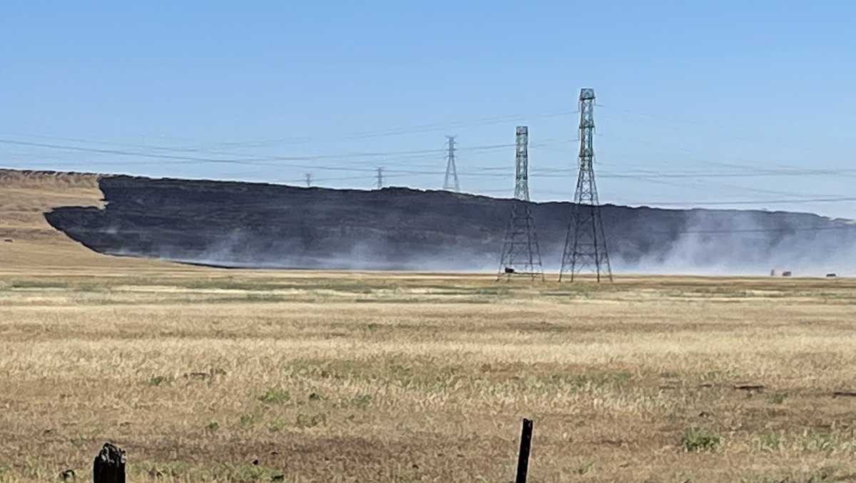 Nelson Fire burns 275 acres in Northern California