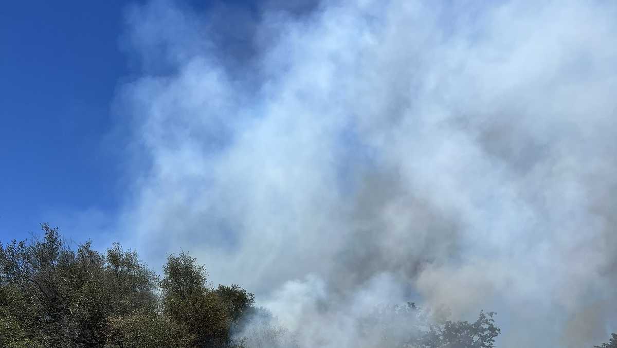 Vegetation fire burns along American river at fish hatchery