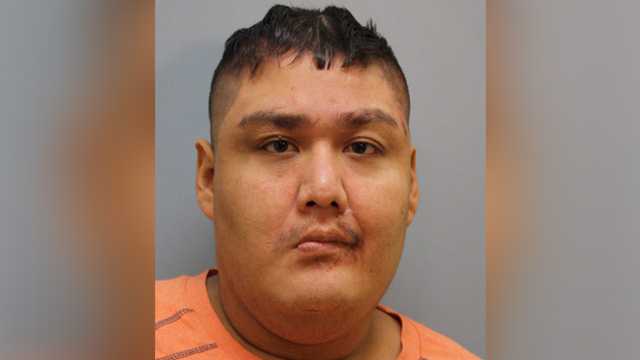 Houston man charged with murdering mother