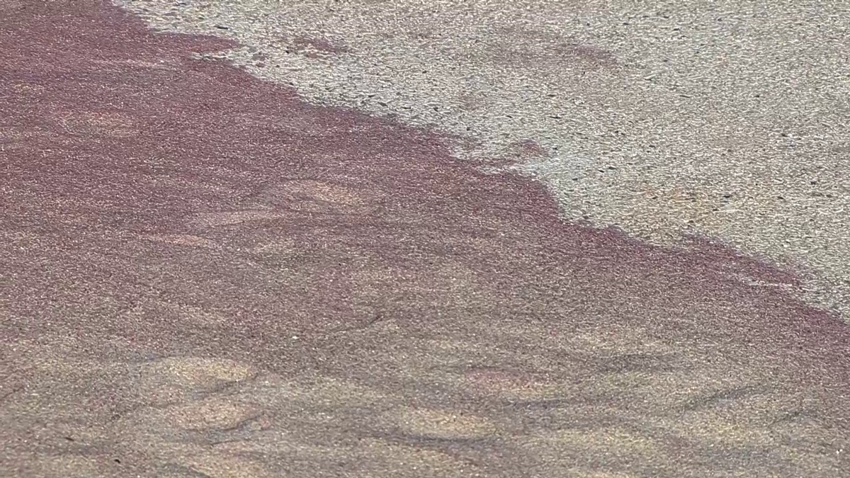 Here is why Revere Beach is covered in sparkly, purple sand