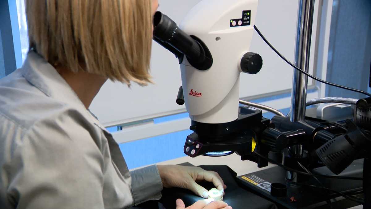 Iowa forensic anthropologist helps investigators using clues from human ...