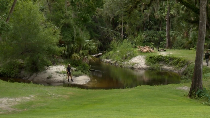 Florida teen bitten by alligator while swimming in creek