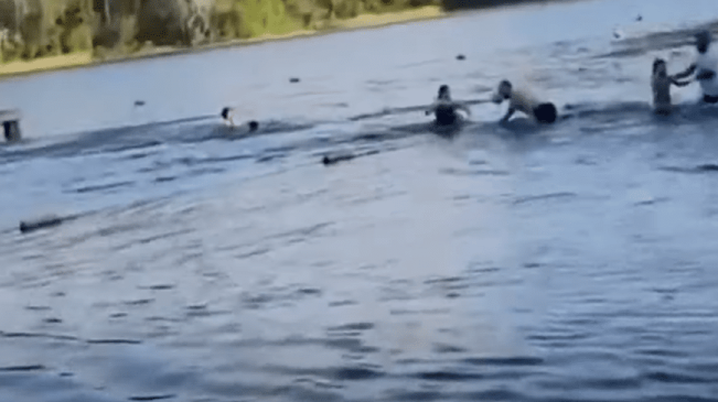 Girl Scouts flee from charging alligator, video shows