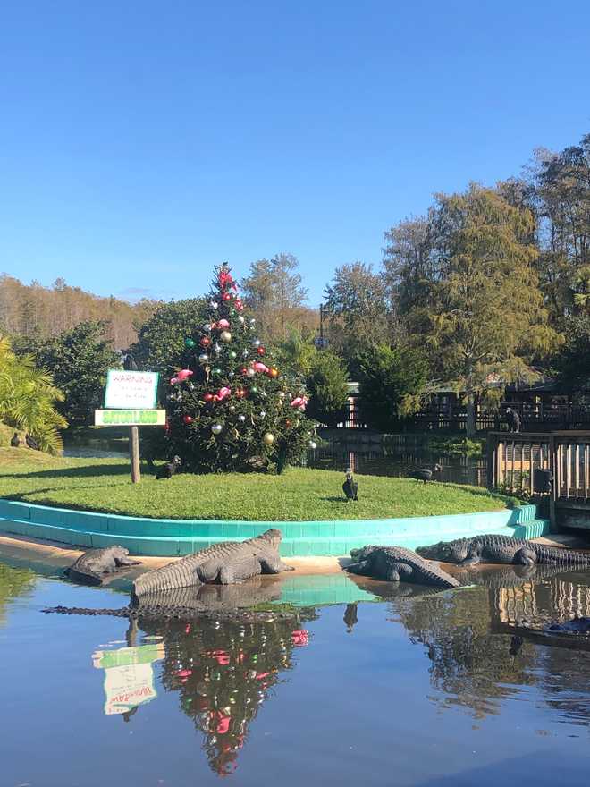 Gatorland reveals plans for guests at the holidays