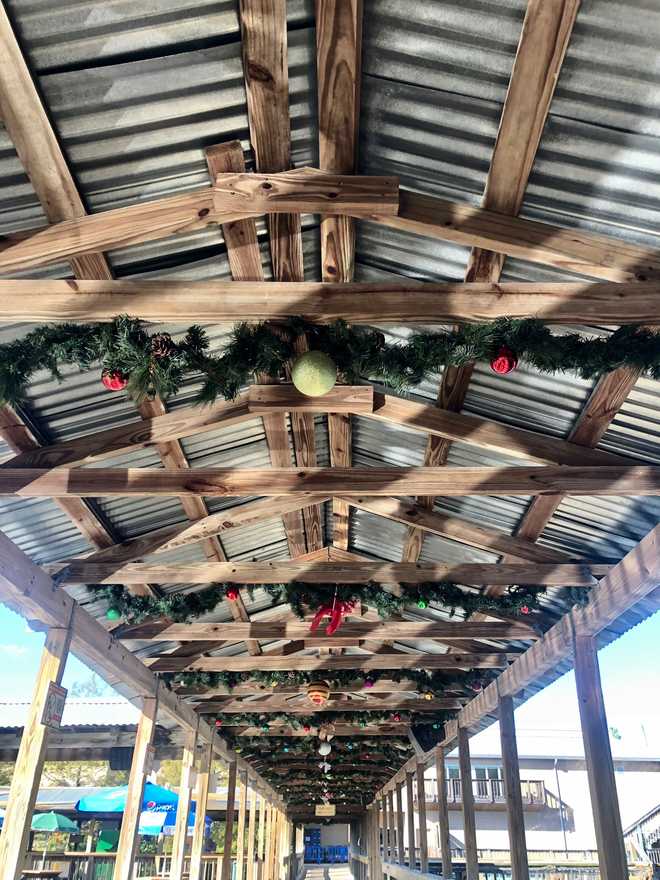Gatorland reveals plans for guests at the holidays