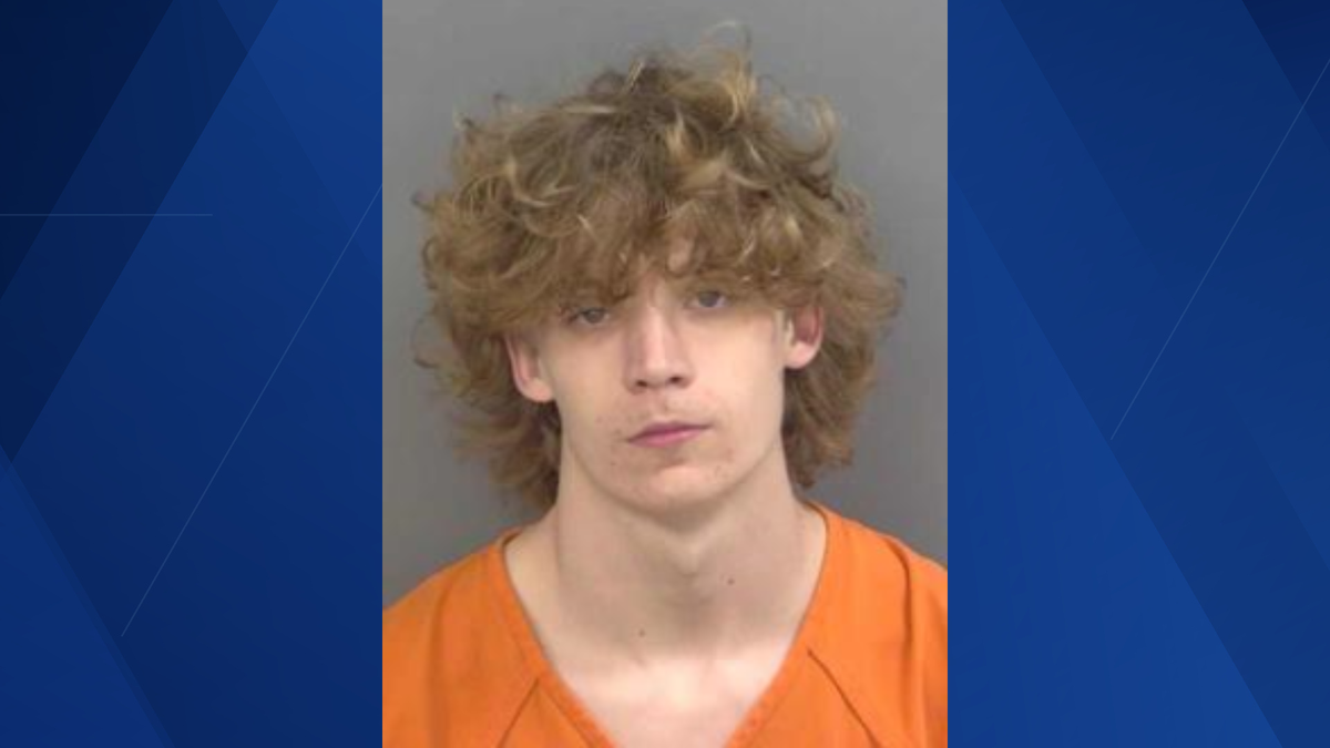 Video Fingerprints Link Half Dozen Car Burglaries Back To Naples Teen