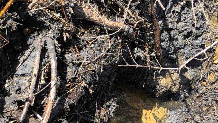 Used motor oil dump prompts emergency response