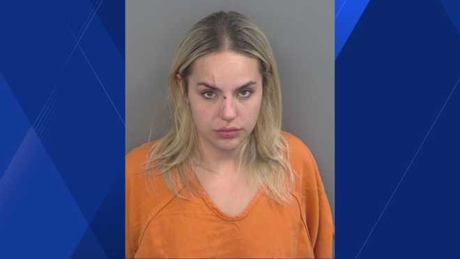 Wrong-way driver arrested after crash kills man on I-75 in Collier County