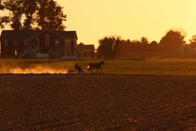 Amish impact on Pa. politics