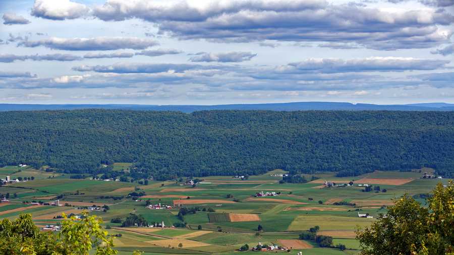 Pa. primary: Mifflin County results