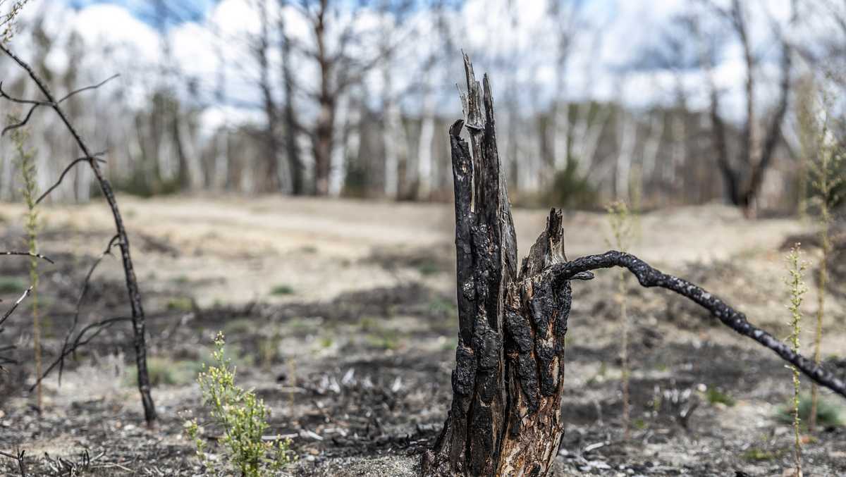Elevated wildfire risk today across South-Central Pennsylvania: dry ...