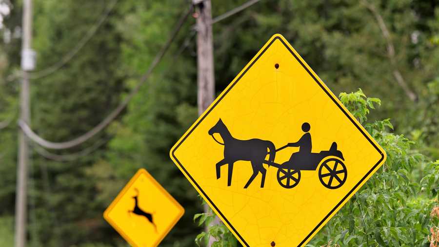 Amish buggy rear-ended in Carroll County; 3 juveniles with life ...