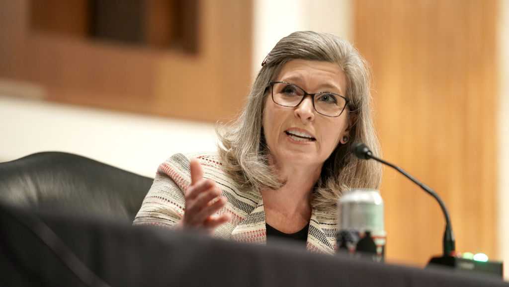 Iowa senator: Members of Congress should disclose if they got Paycheck ...