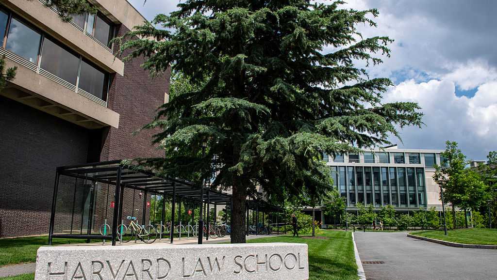 DHS: Harvard Law professor arrested by ICE agents after firing pellet ...