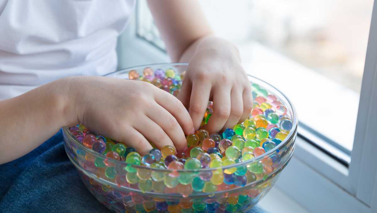 Water bead ban: PA senator introduces Esther's Law